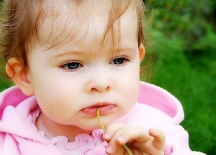 World Divas: - Bebês Fakes ( Meninas )