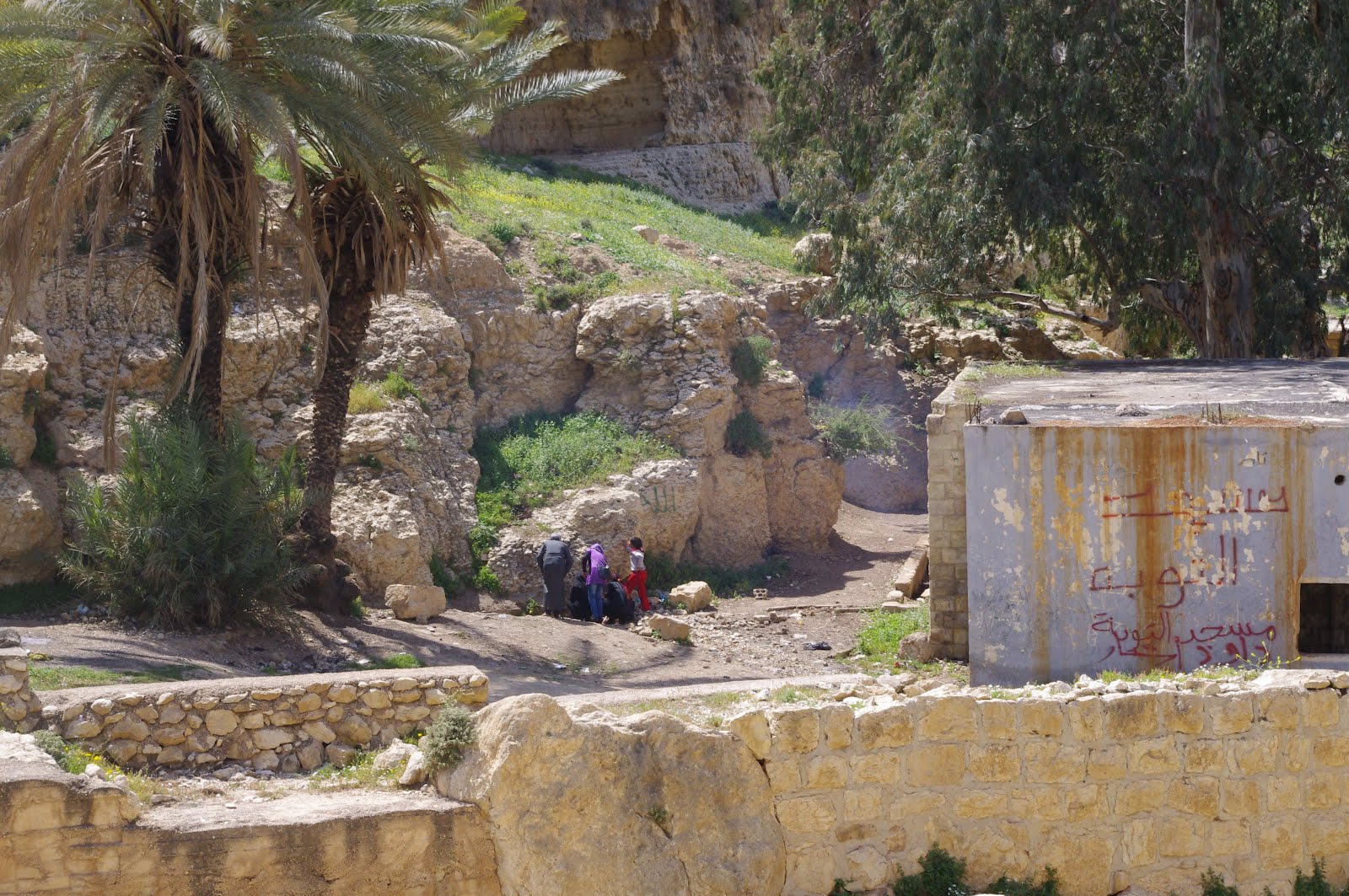 tranters travels: MT NEBO AIN MUSA AND THE PROMISED LAND-WOULD THEY ...