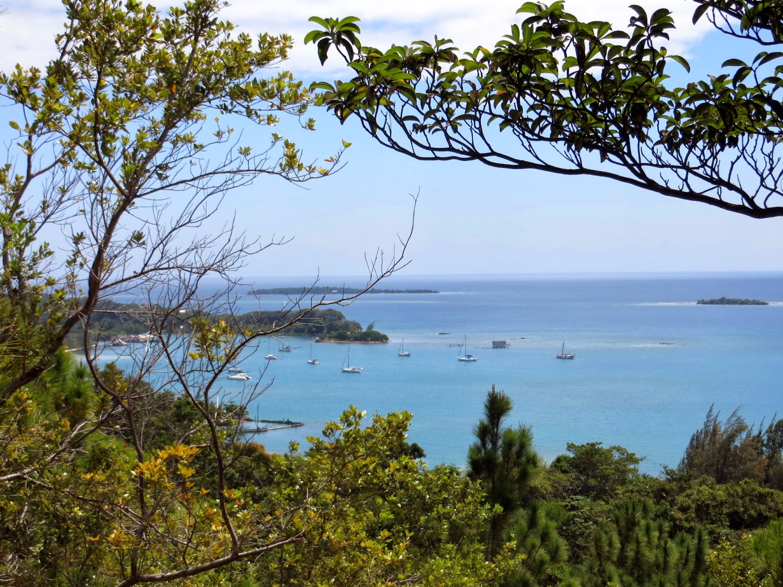 Sailing, sailing,: Bonacca, Guanaja, Honduras