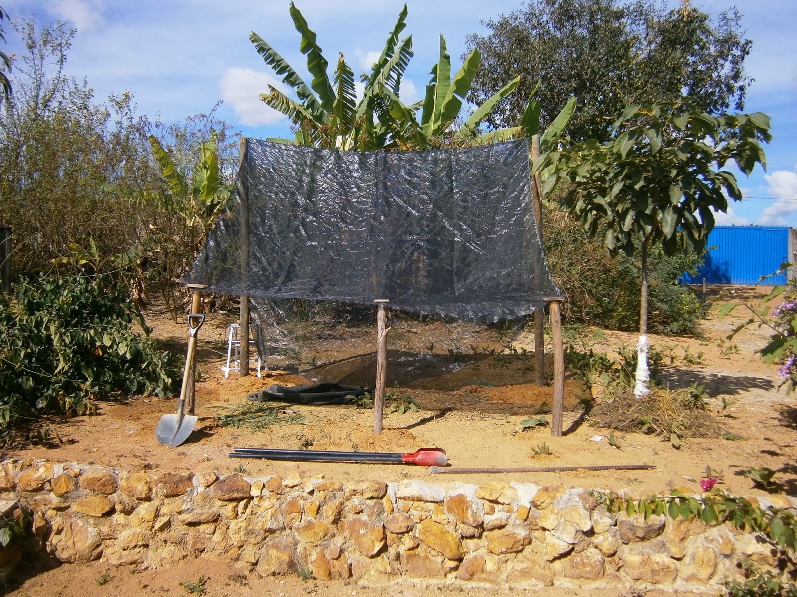 Zelando pela Chacrona e pelo Jagube: Criando Micro Clima Favorável ao ...