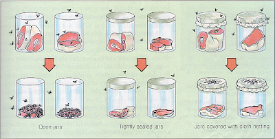 Teori Biogenesis | BELAJAR SAINS