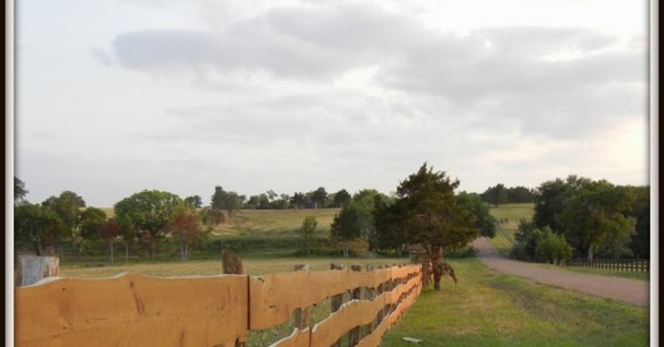 Meggie On The Prairie: Friday's Fences