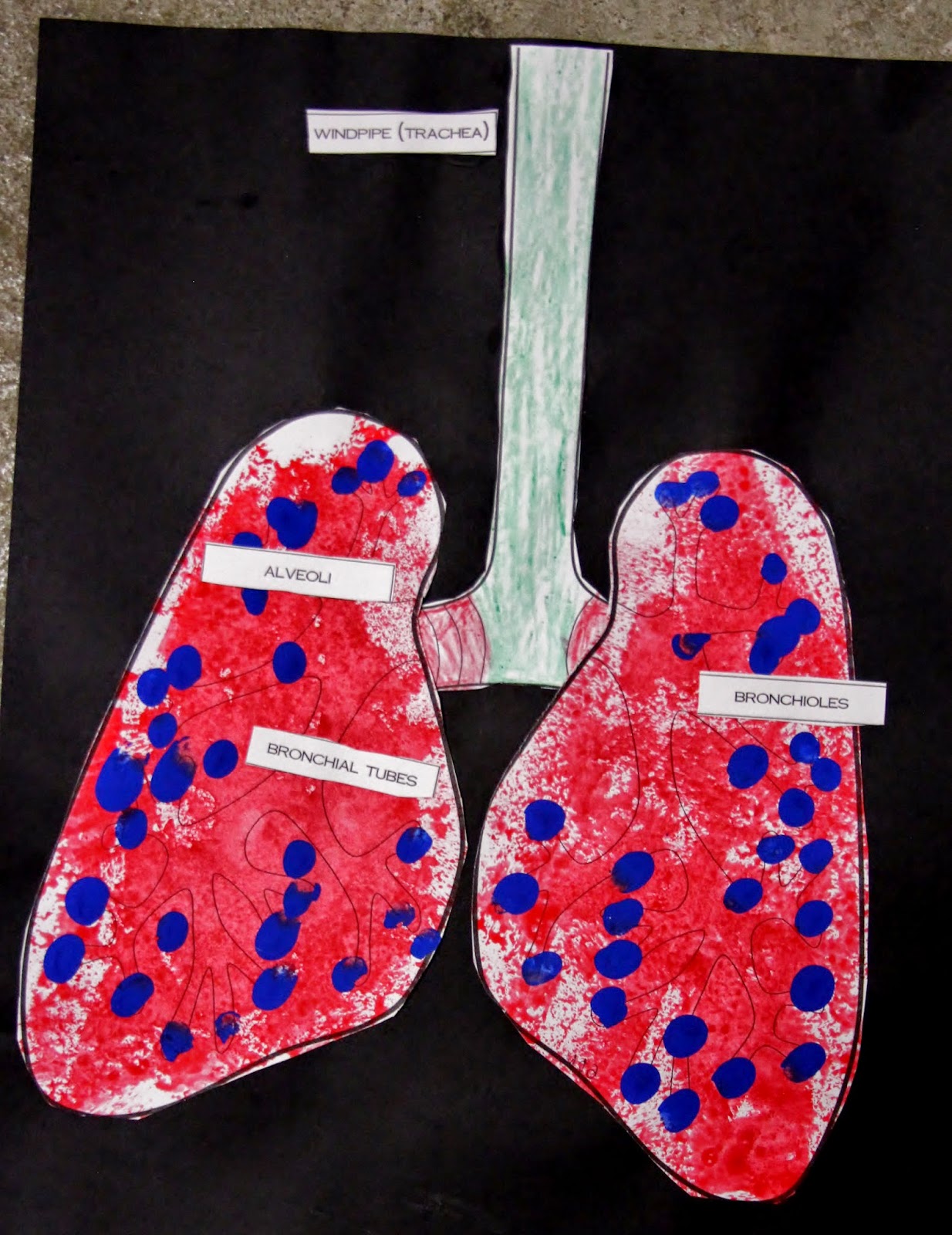 The Fantastic Five: Breathe In, Breathe Out... (Respiratory System ...