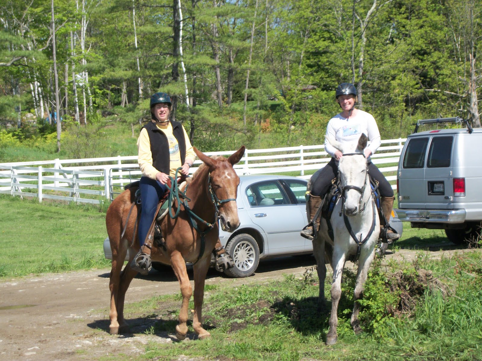 Lily, The Lovely Bright Molly: Riding with Tracy