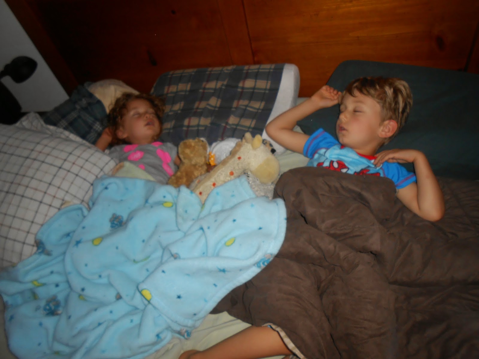 Big Sky Brewers: Slumbering Siblings