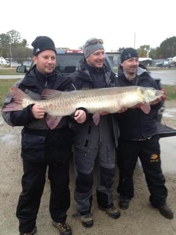 Downriver Outdoors: New State Record Muskie