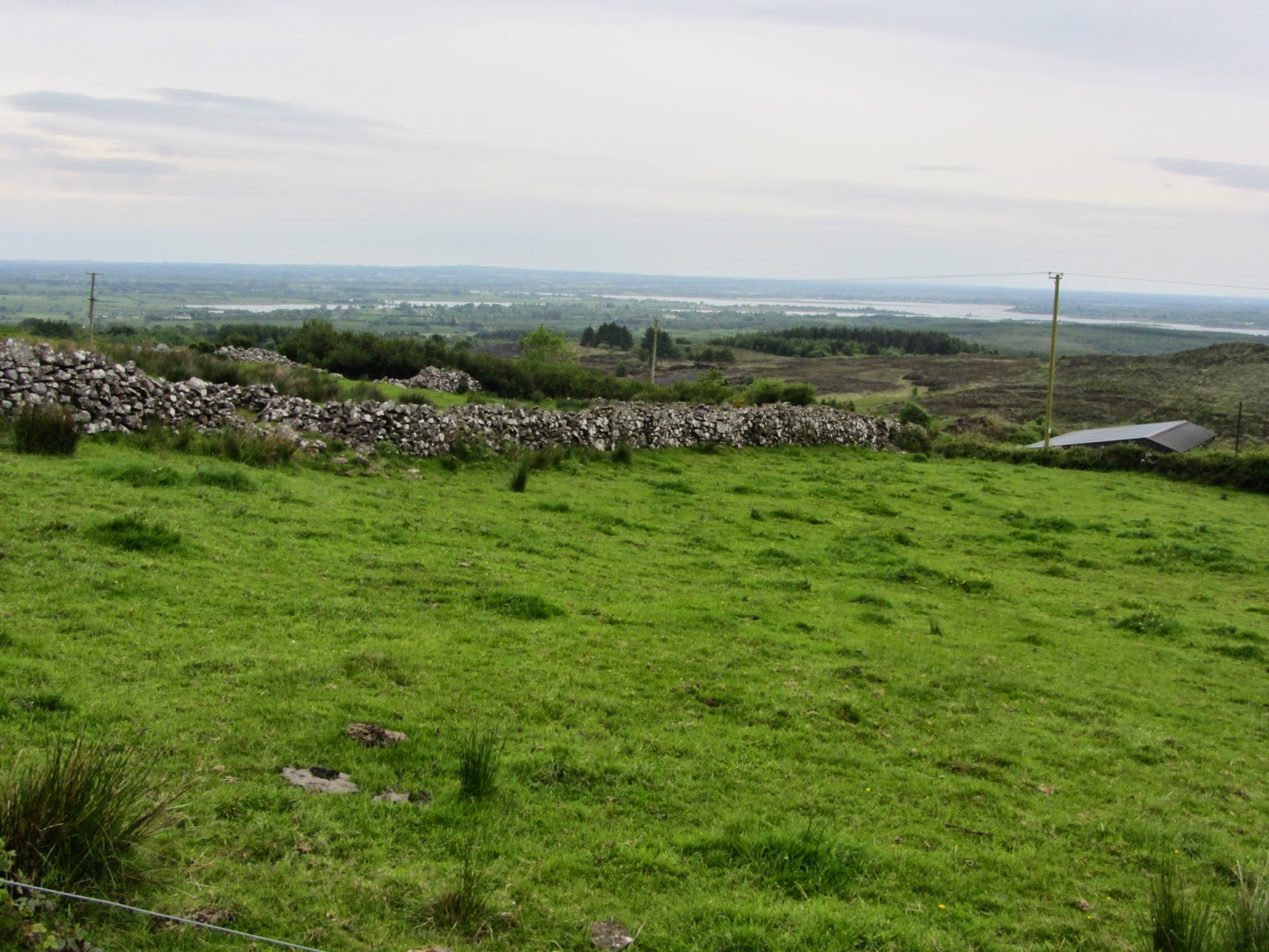 Letter from Ballinloughane: Lough Gara - Why is this Lake Important?