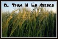 EDUCACIÓN DE ADULTOS IBIZA: SEMBRAR CIZAÑA