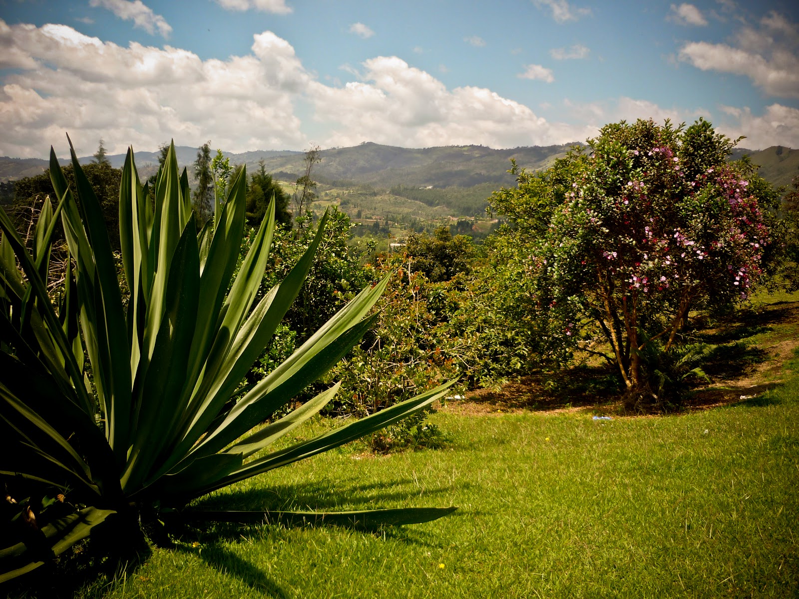 La Ventana:: La vida pende de un hilo