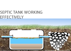 septic tank,septictank,septic tank bio,bio septic tank,biotank,biofil ...