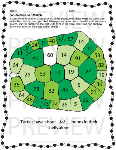 The Puzzle Den: Turtle Puzzles Preview