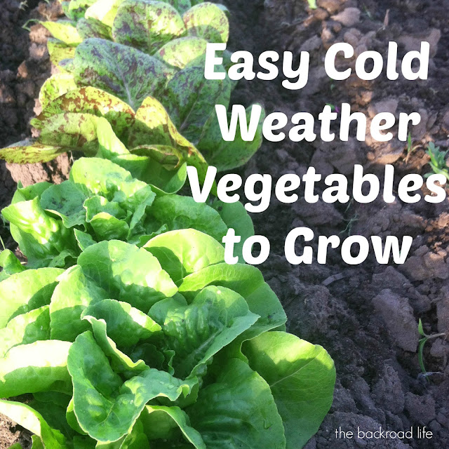 The Backroad Life: Easy Cold Weather Vegetables to Grow