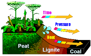 Coal- Geography 12: Diagrams of how Coal works in the World