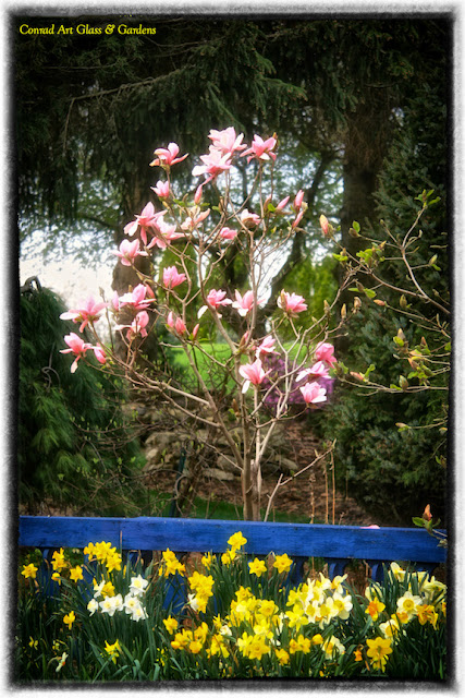 Conrad Art Glass & Gardens: #2 of "The 2017 garden year in review ...