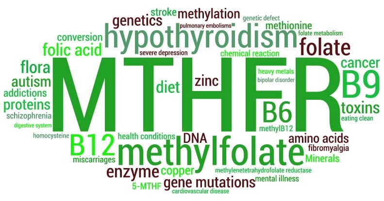 The Importance of Proper Methylation