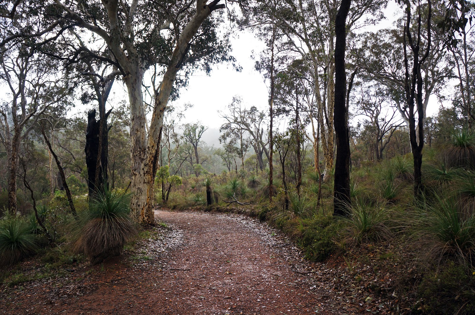 Noble Falls Walk Trail (Gidgegannup) ~ The Long Way's Better