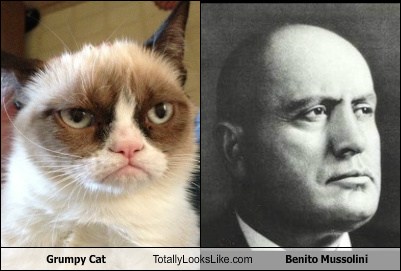 Down with Business Cat! : r/AdviceAnimals