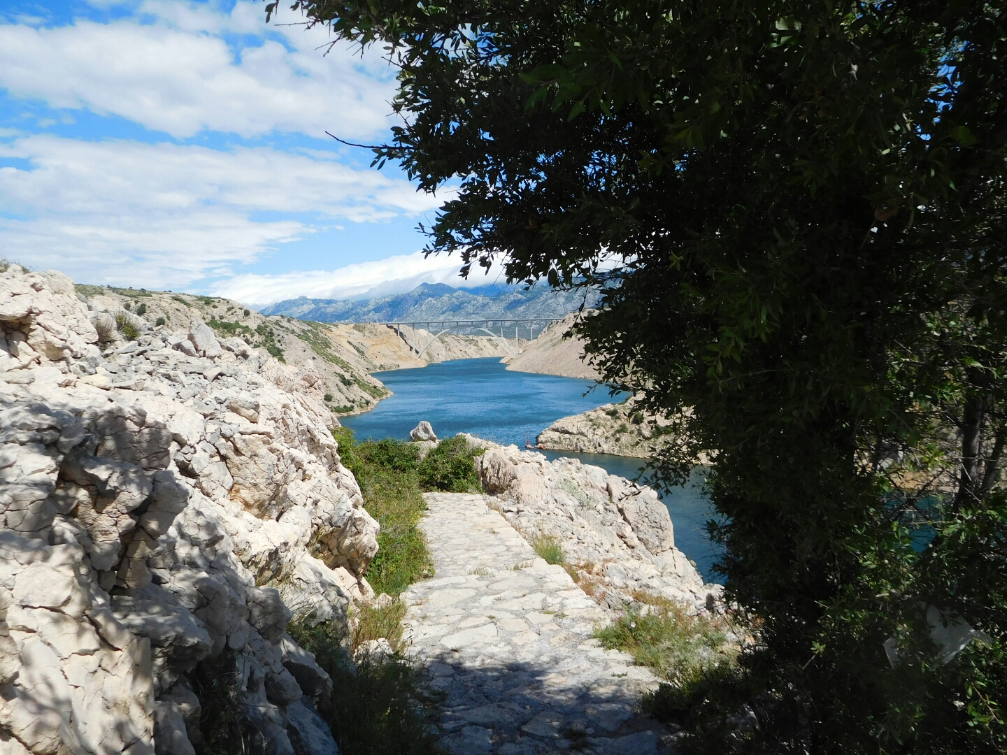 Pont de Maslenica (Maslenički most)