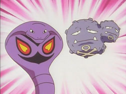 Team Rocket: Arbok & Weezing