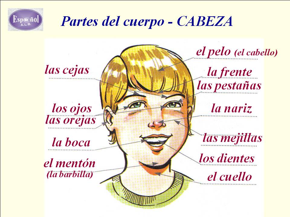 Esp@ñol ALB: tu clase de español por VIDEOCONFERENCIA (Skype): Esp@ñol ...