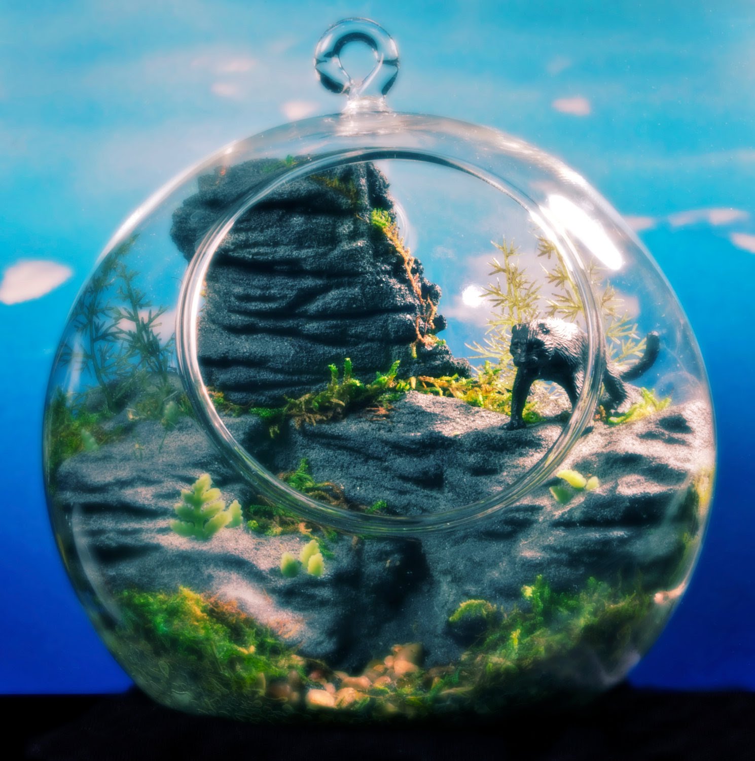 Simply Creative: Fantasy Terrariums by Tony Larson