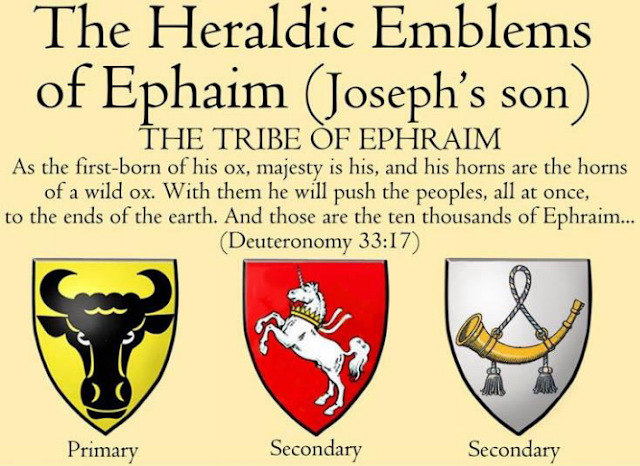 Israelitish worldwide : Anglo-Israelism, Ephraimitism, Two-House ...