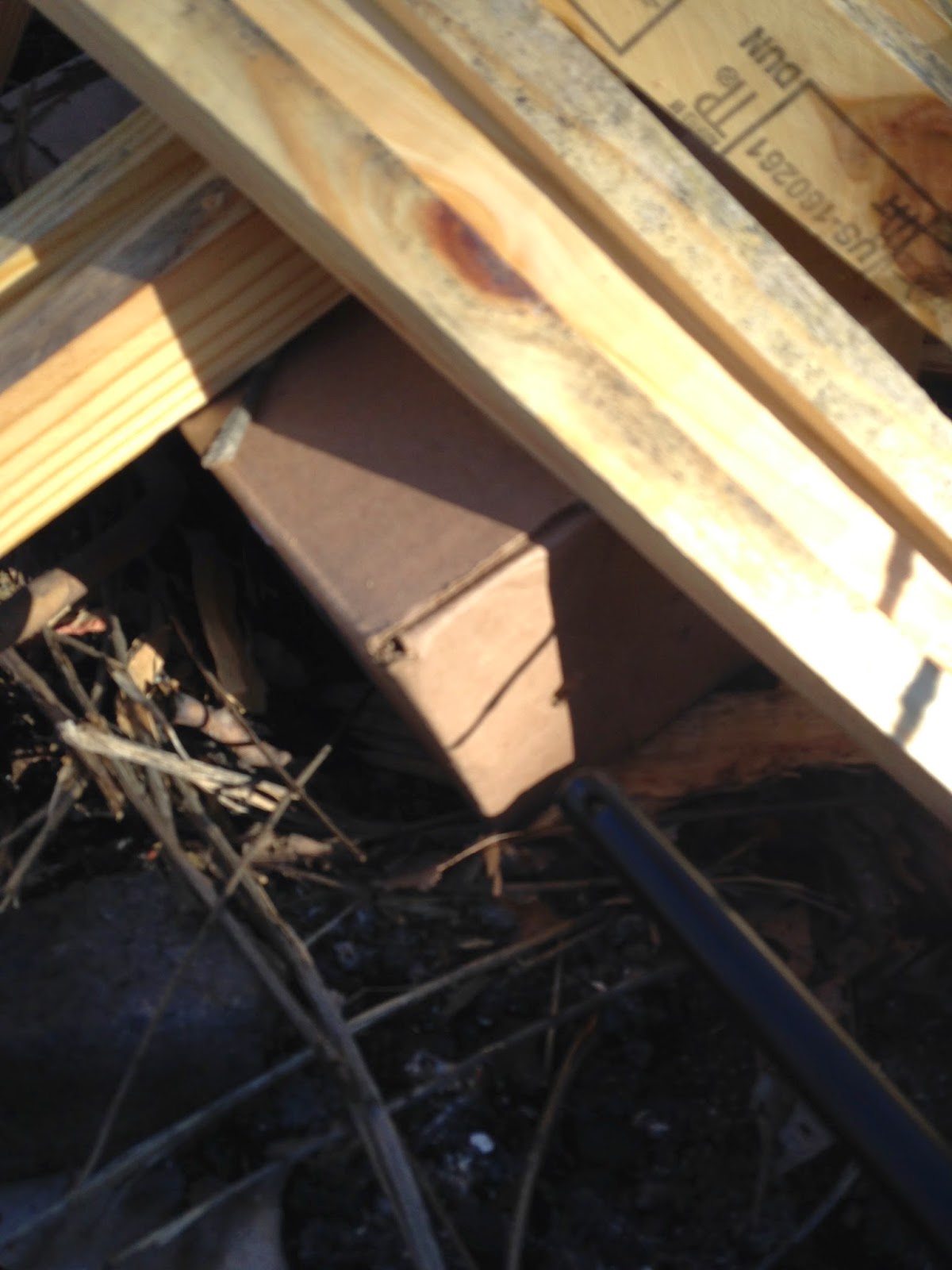 The Clever Pear: Home Made Fire Starters (Burn Boxes)