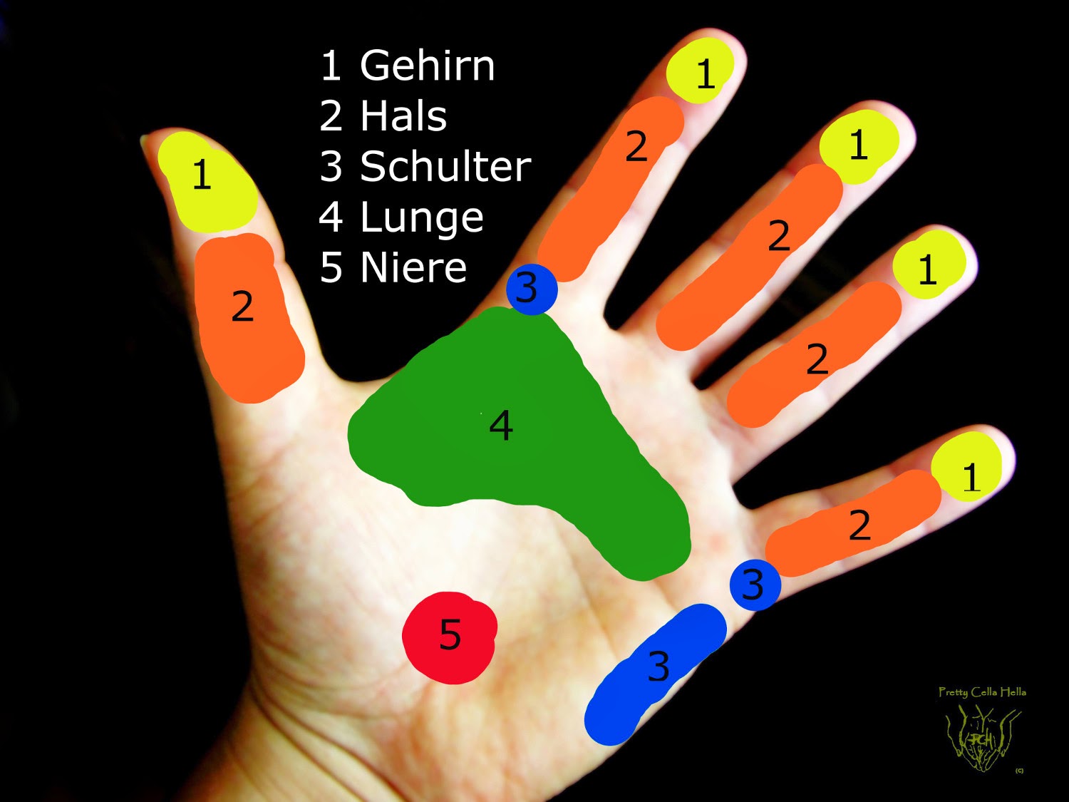 Pretty Cella Hella: Unsere Hände - nasze dlonie