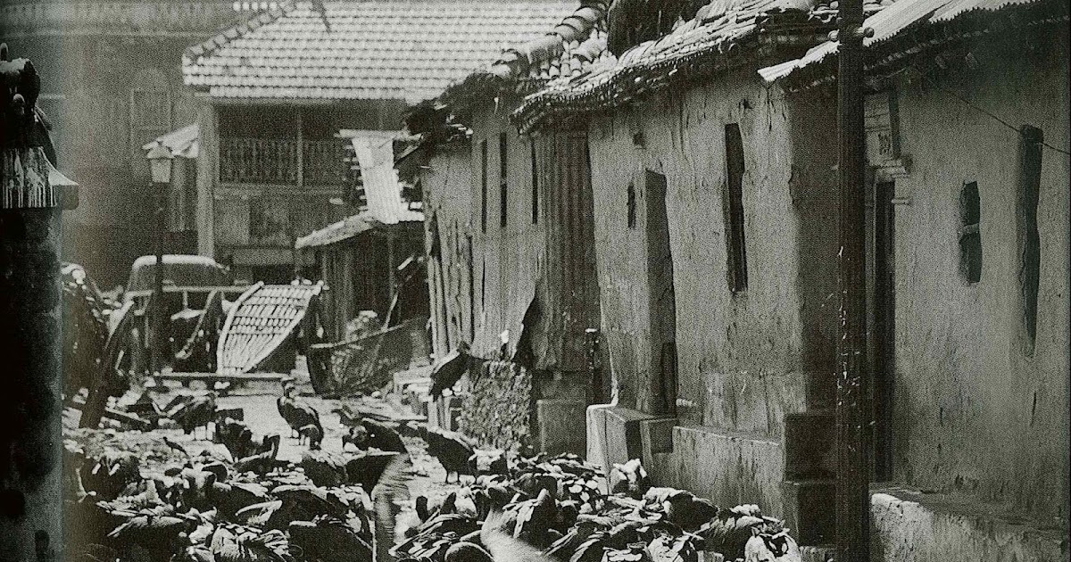 Earth No War NGO (ENWN): The religious war between Hinduism and Muslims ...