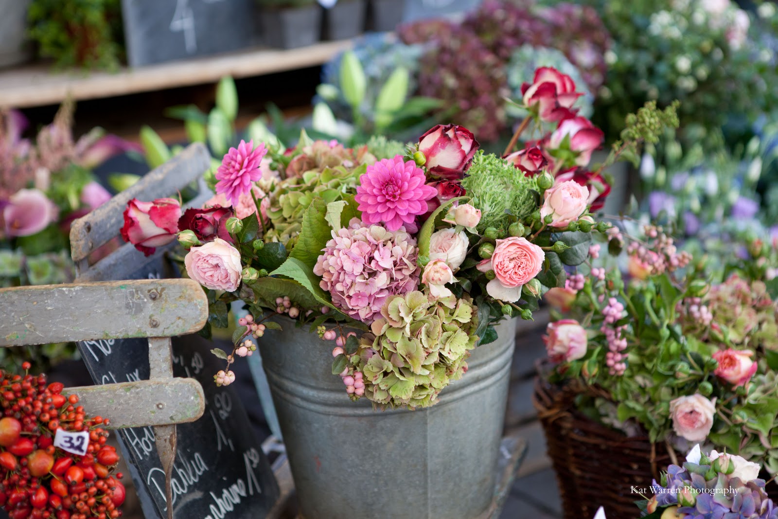 Native French Flowers