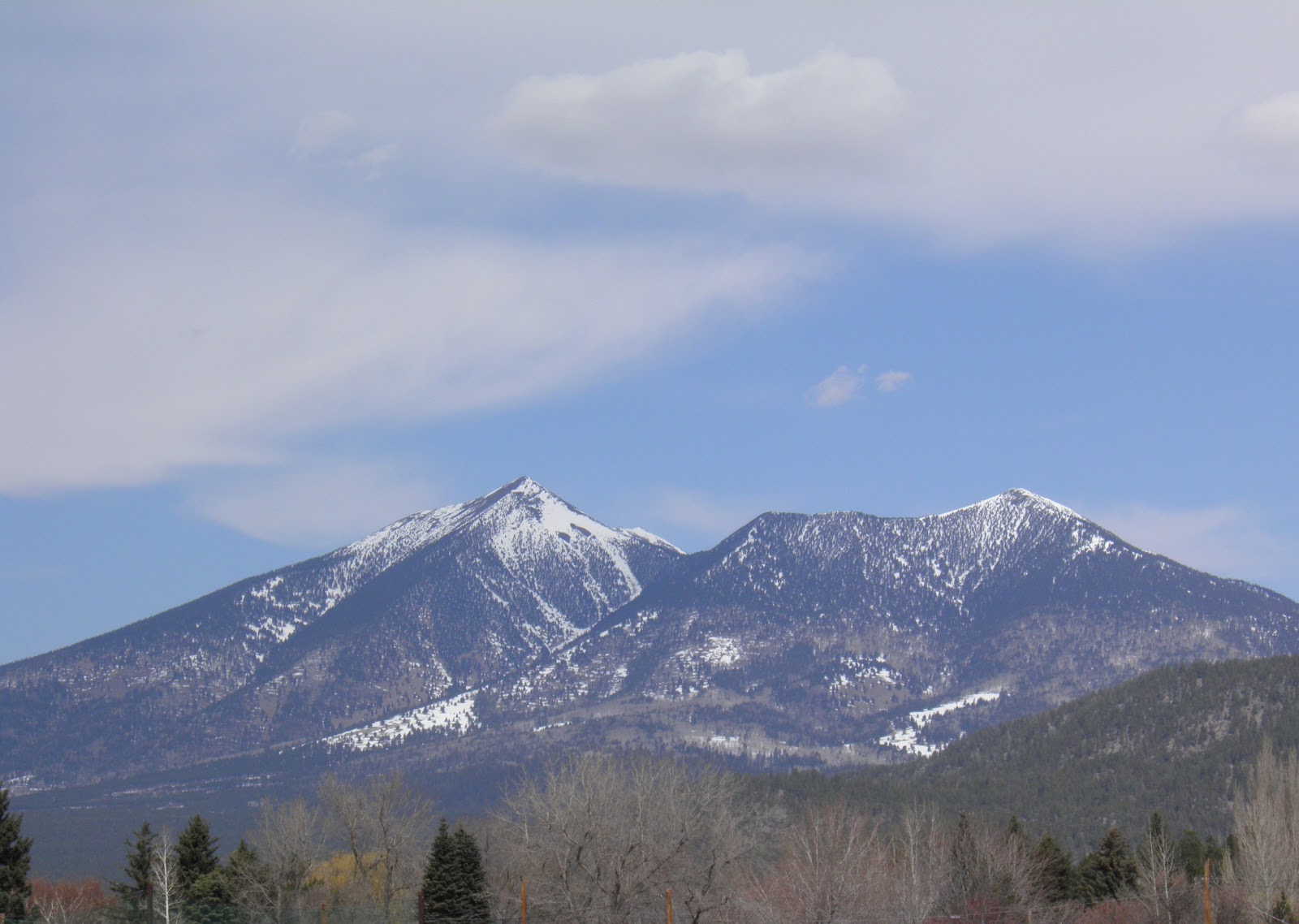 walking flagstaff: spring is coming