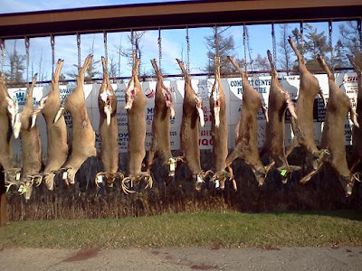 Michigan 1001 Daily Photo: Grayling's Buck Pole at Skip's Sports Shop