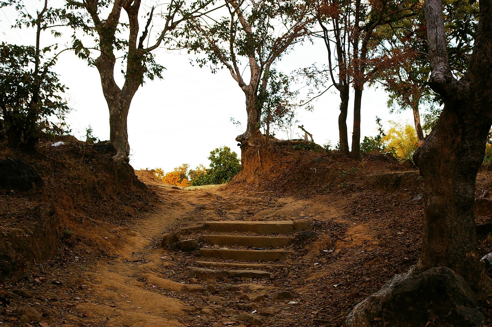 Shoot and Scoot: The deepest Valley in the world (Patalkot ...