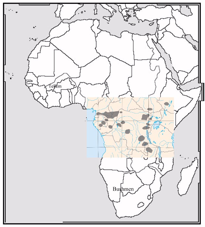 Gundhramns Hammer: MUSICA DE LOS ABORIGENES DE AFRICA: LOS MBUTI
