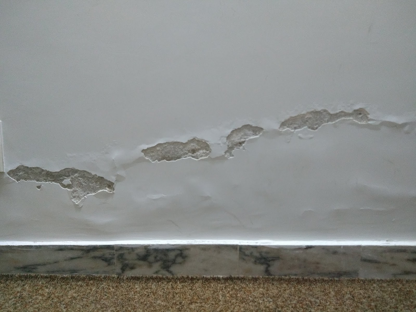 Kitchen and Residential Design: Damp proofing and eliminating water damage