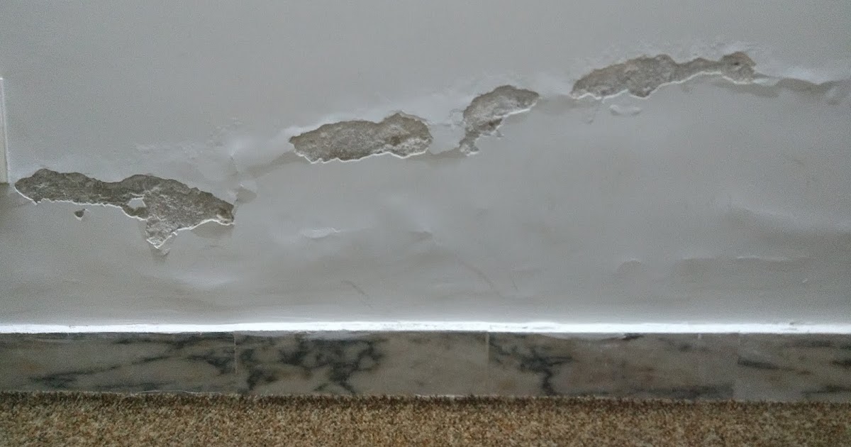 Damp proofing and eliminating water damage - CNN Times IDN