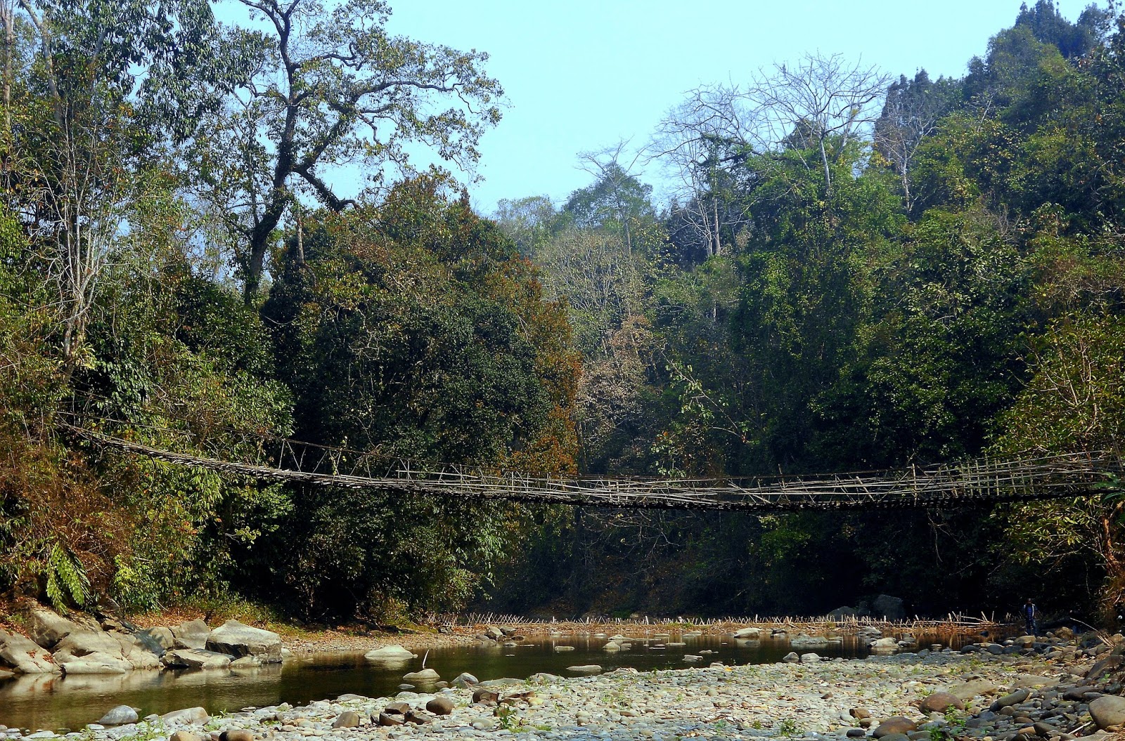 Rainforest of Assam: PHOTO GALLERY