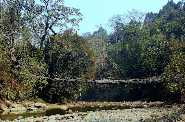 Rainforest of Assam: PHOTO GALLERY