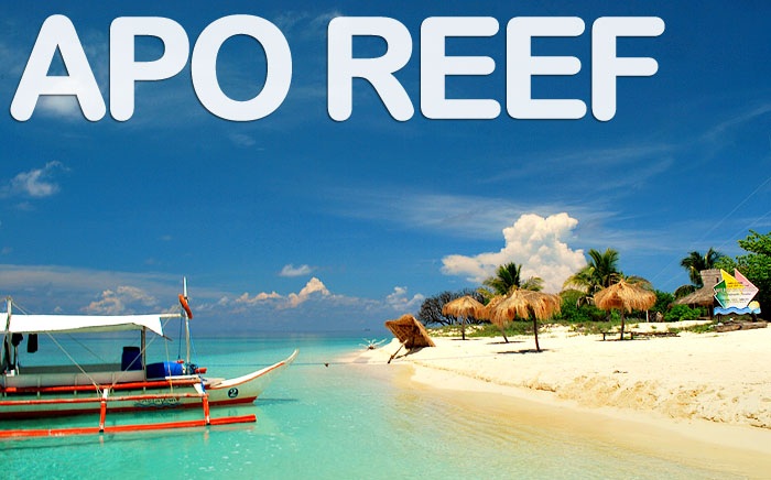 Apo Reef Natural Park Is A Coral Reef In Sablayan, Philippines | Jual ...