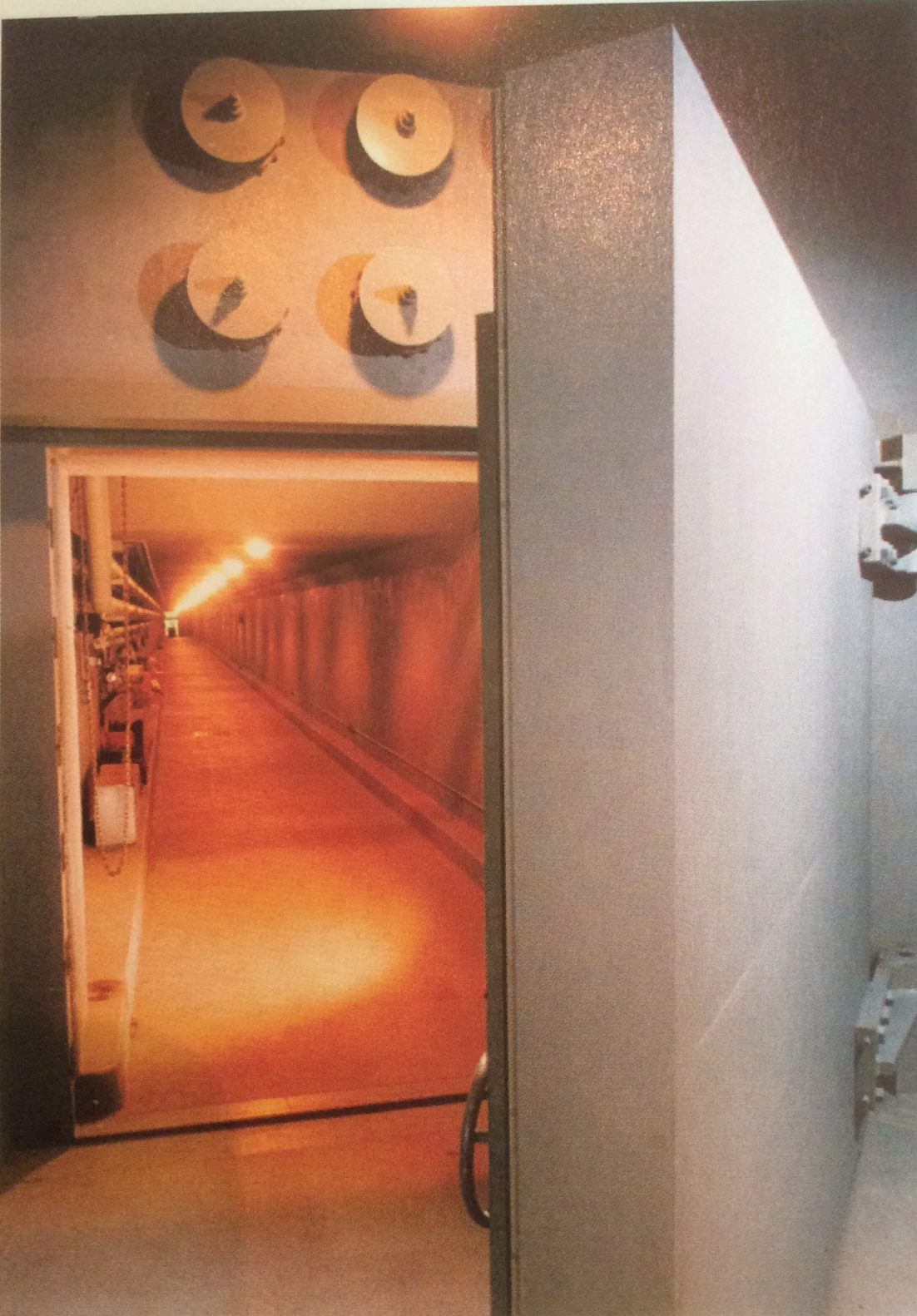 Tangled Roots and Trees: Project Greek Island: The Bunker