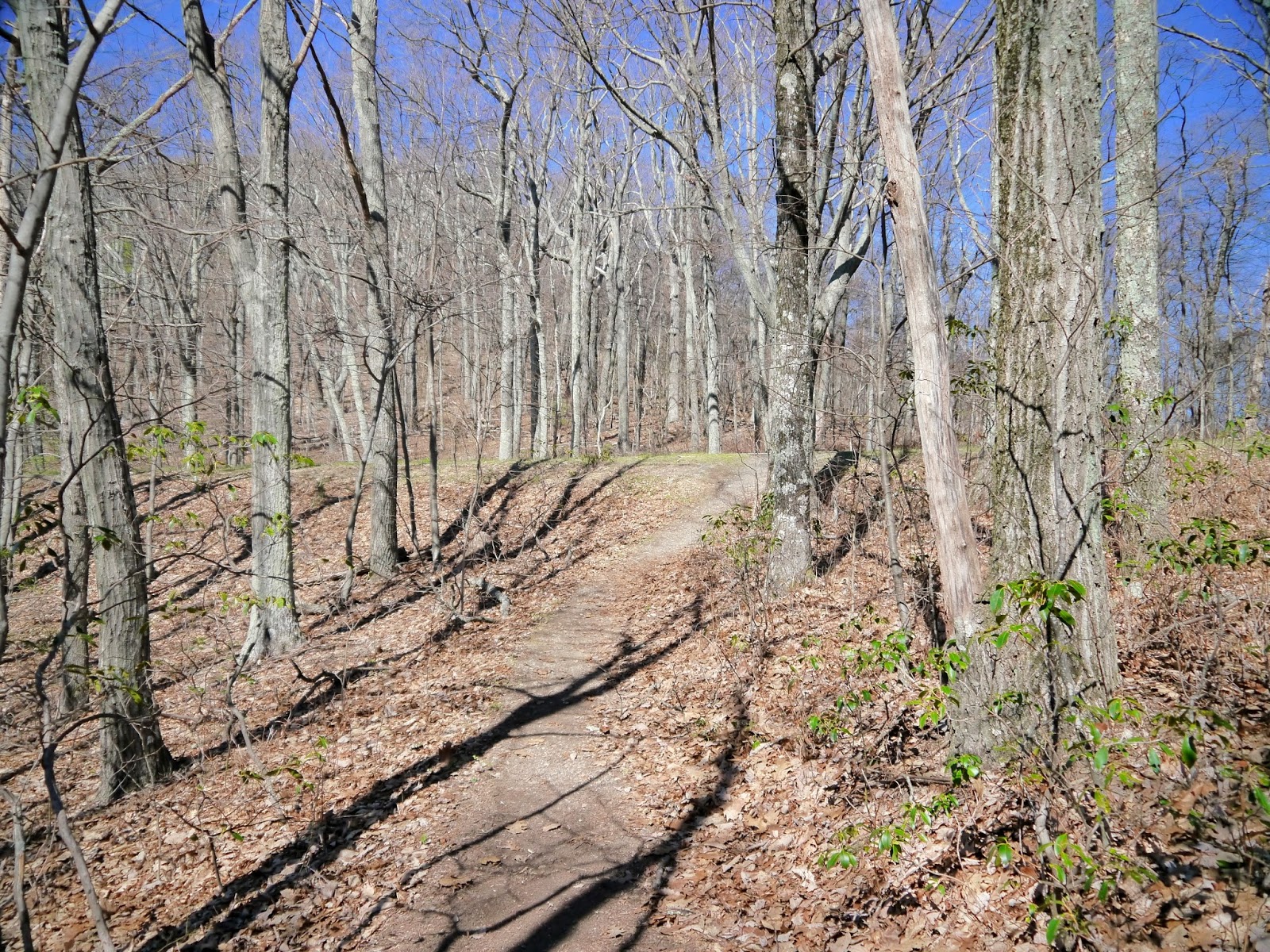 American Travel Journal: Riprap Trailhead to Blackrock Gap ...