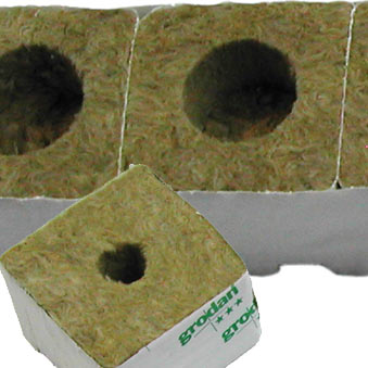 Rockwool Ceiling: Rockwool