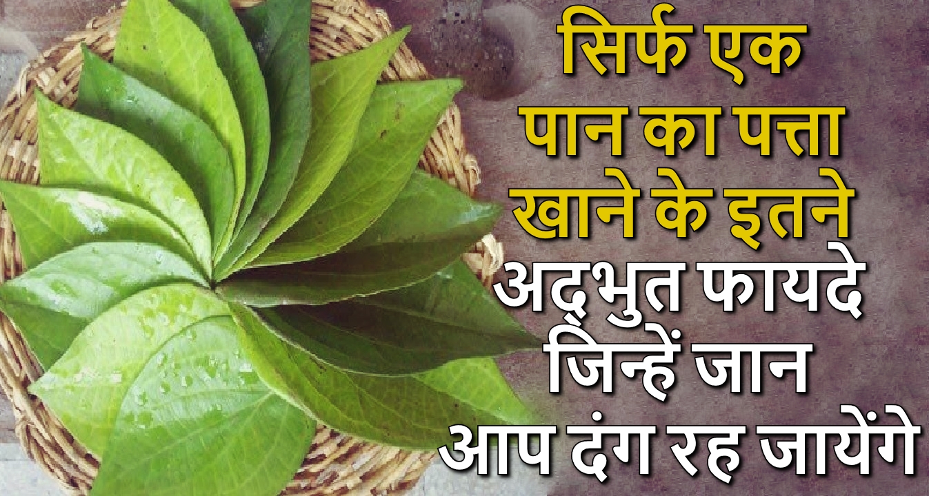 Health Benifits Of Pana patra in Odia 2018 | My Hindi Tarike:All Odia ...