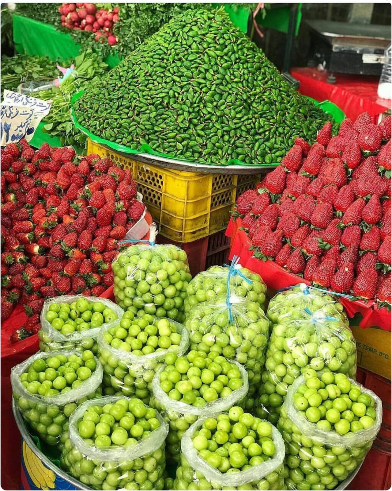 Grapefruit In Farsi at Timothy Stump blog