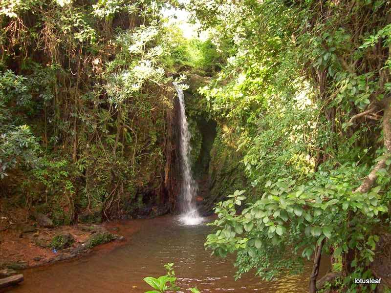 Travel Adventures: Nagabana- the Garden of Serpents