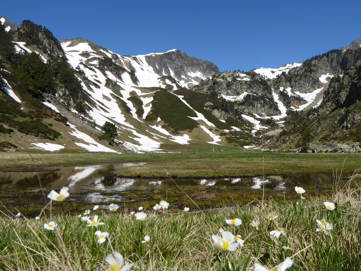 Les balades de Lison: La vallée du Galbe : un bijou serti de névés