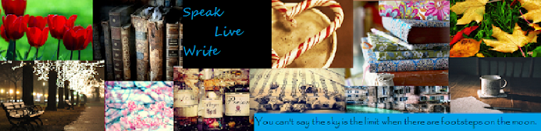 Speak Live Write Oh Schnoodle speak-live-write-oh-schnoodle