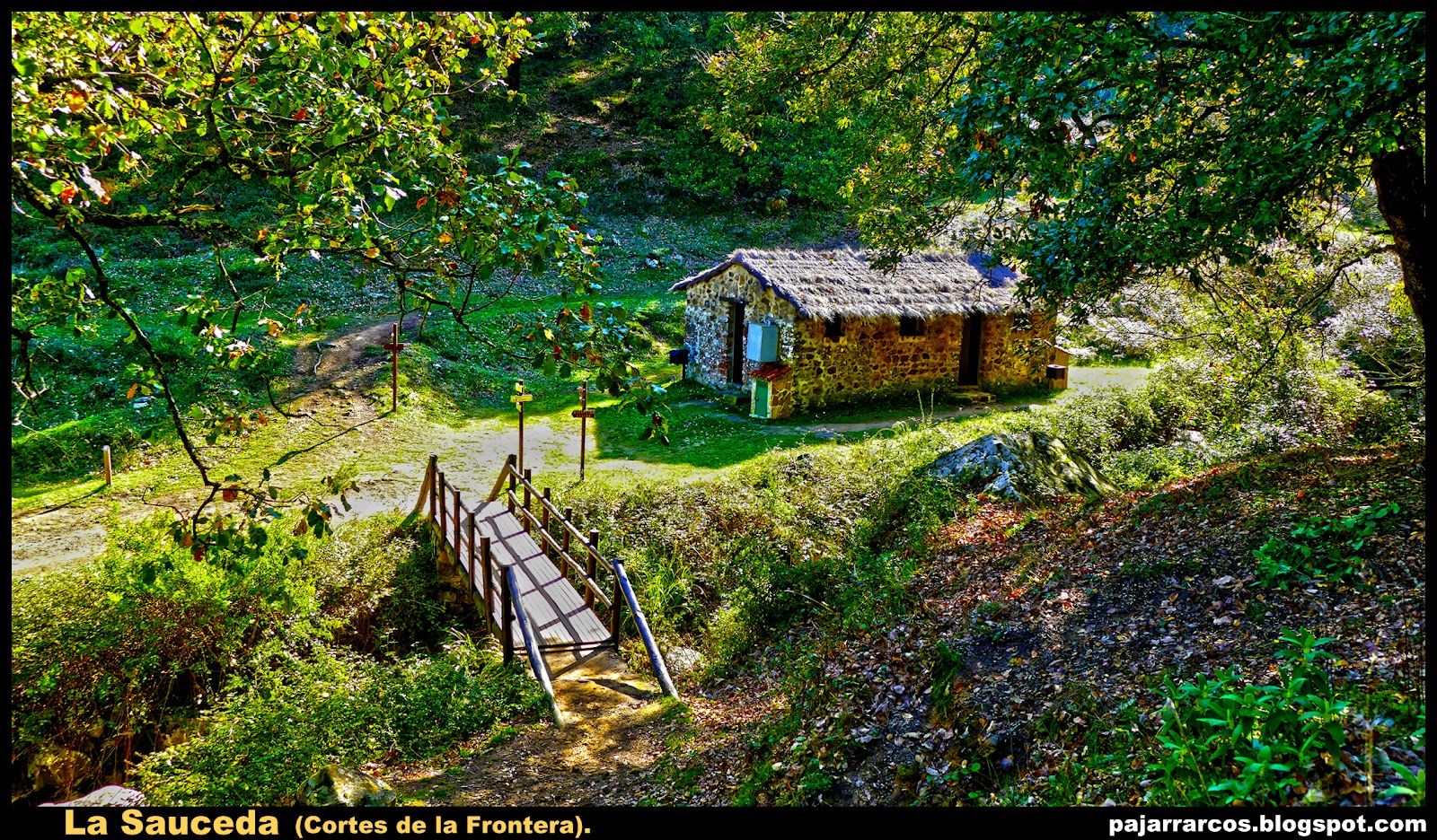 PajarrArcos: La Sauceda