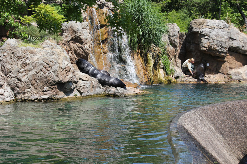 Where the Wild Things Are: Queens Zoo Day – Accidentally Tiny