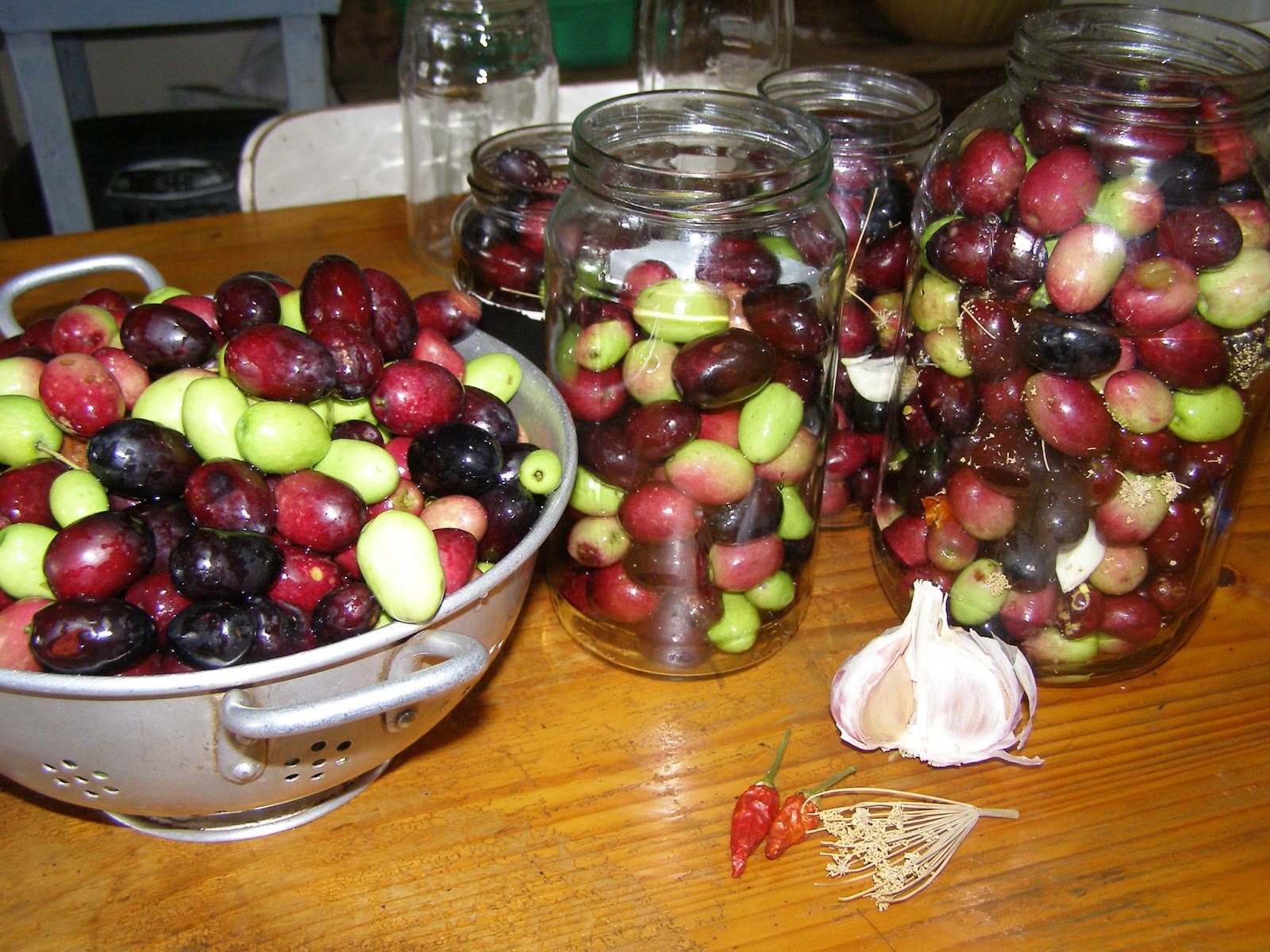 Jembella Farm: Olives